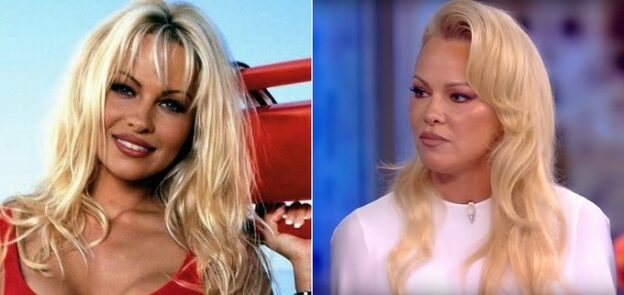 Série Baywatch / SOS Malibu – Você se Lembra